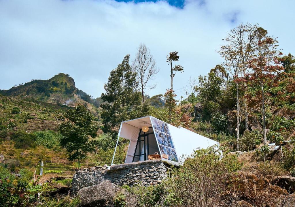 5 Tempat Glamping di Dieng dengan View Gunung hingga Telaga